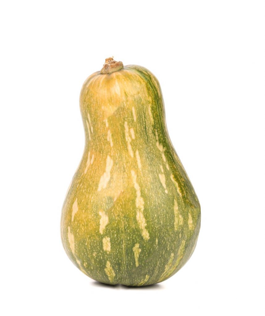 Ahuyama agroecológica pequeña - FromNativo